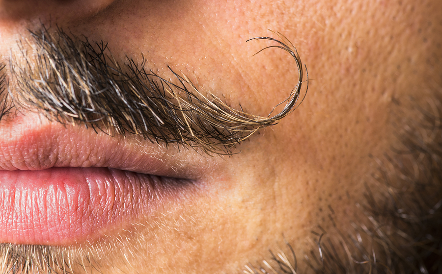 Bigote - Belleza Activa